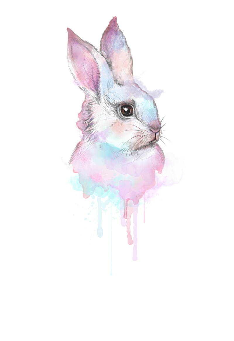 Alice Fragrance | Sapphire Studios Design